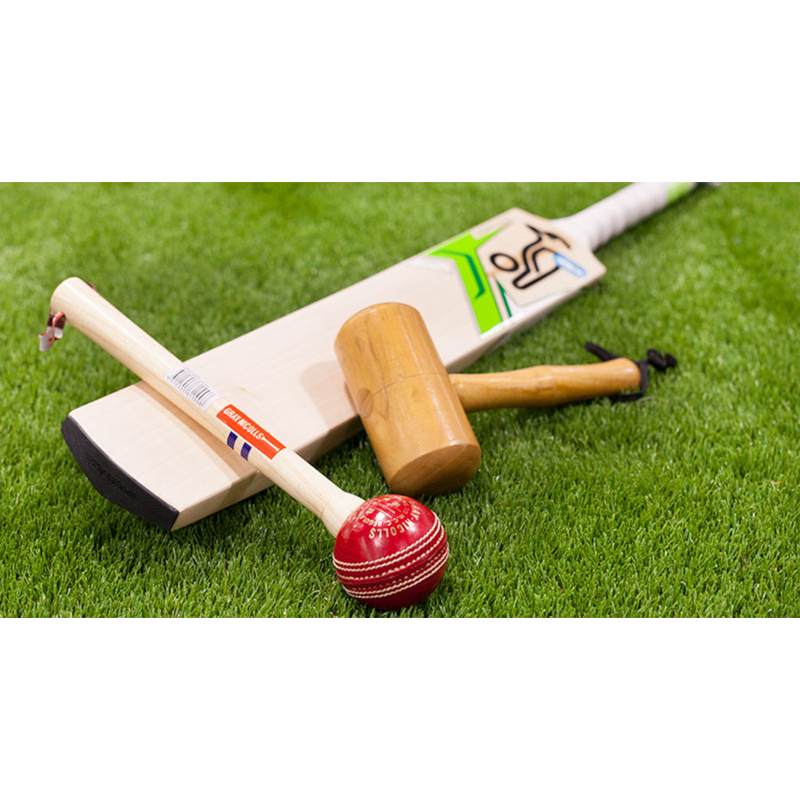 SH Cricket Bat Oiling & Knocking Service – Sports Hub